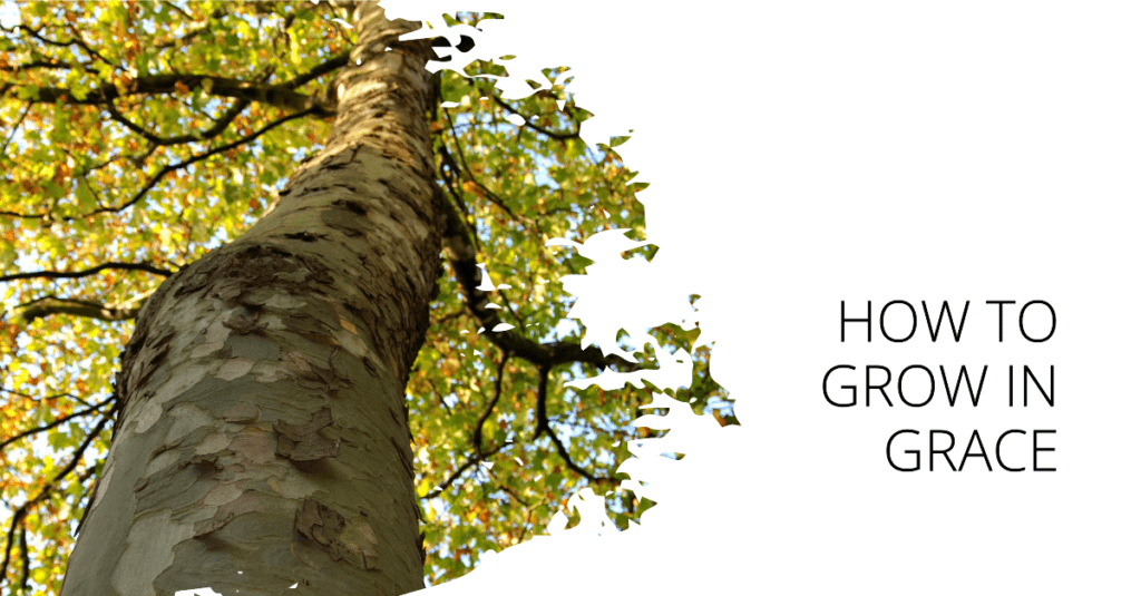 How to Grow in Grace: Discover a Grace-Filled Life
