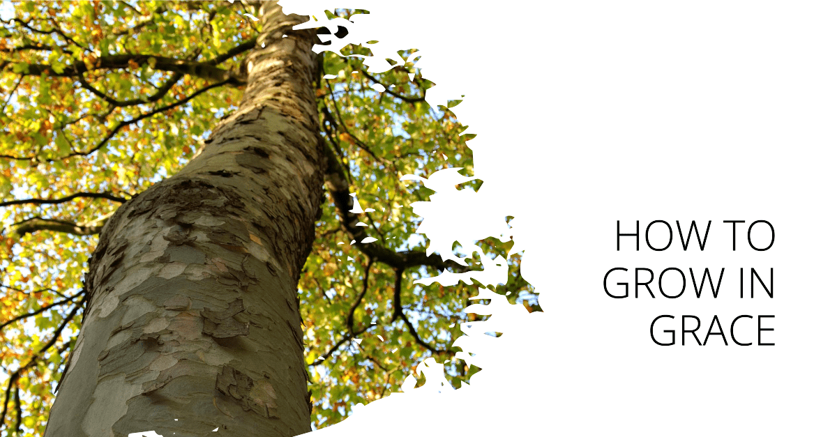 How to Grow in Grace: Discover a Grace-Filled Life